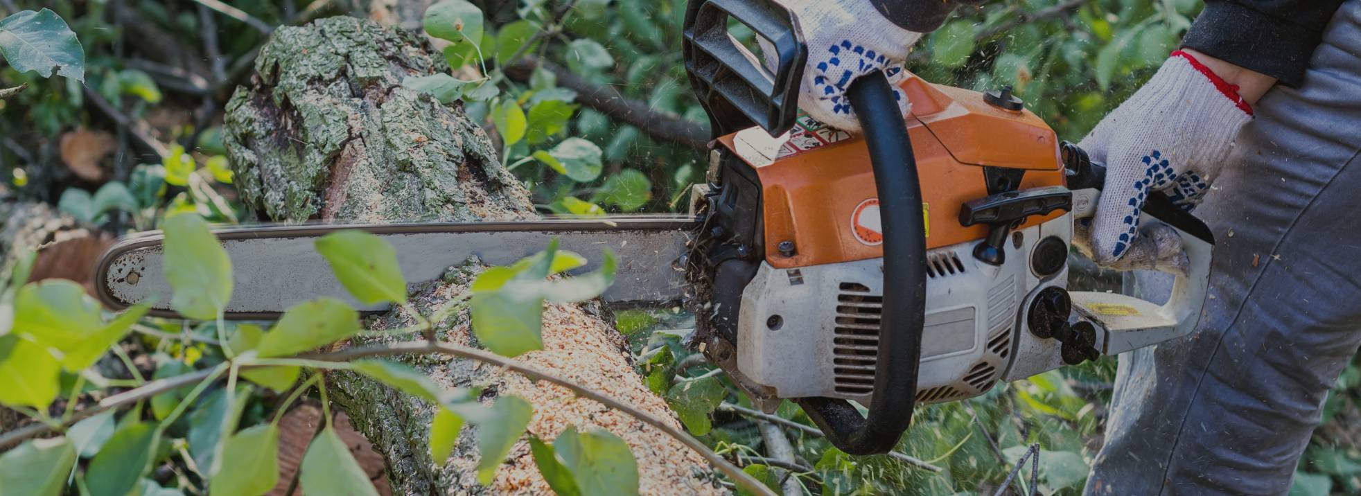 Tiny Tim Tree Service Offers Tree Services in Chicago, IL 60641